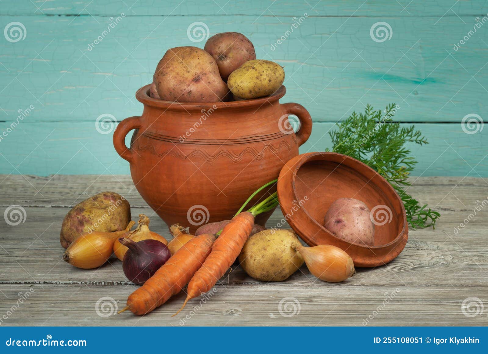 Assortment of Organic Root Vegetables for Cooking Simple Rustic Food ...