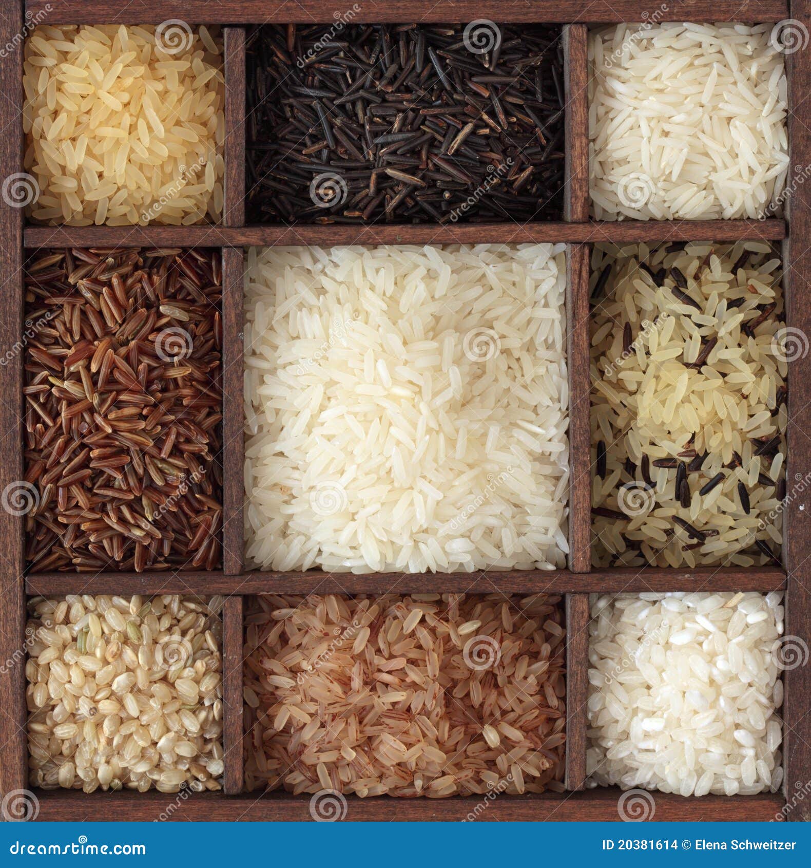 Assortment of rice stock photo. Image of uncooked, dark - 20381614