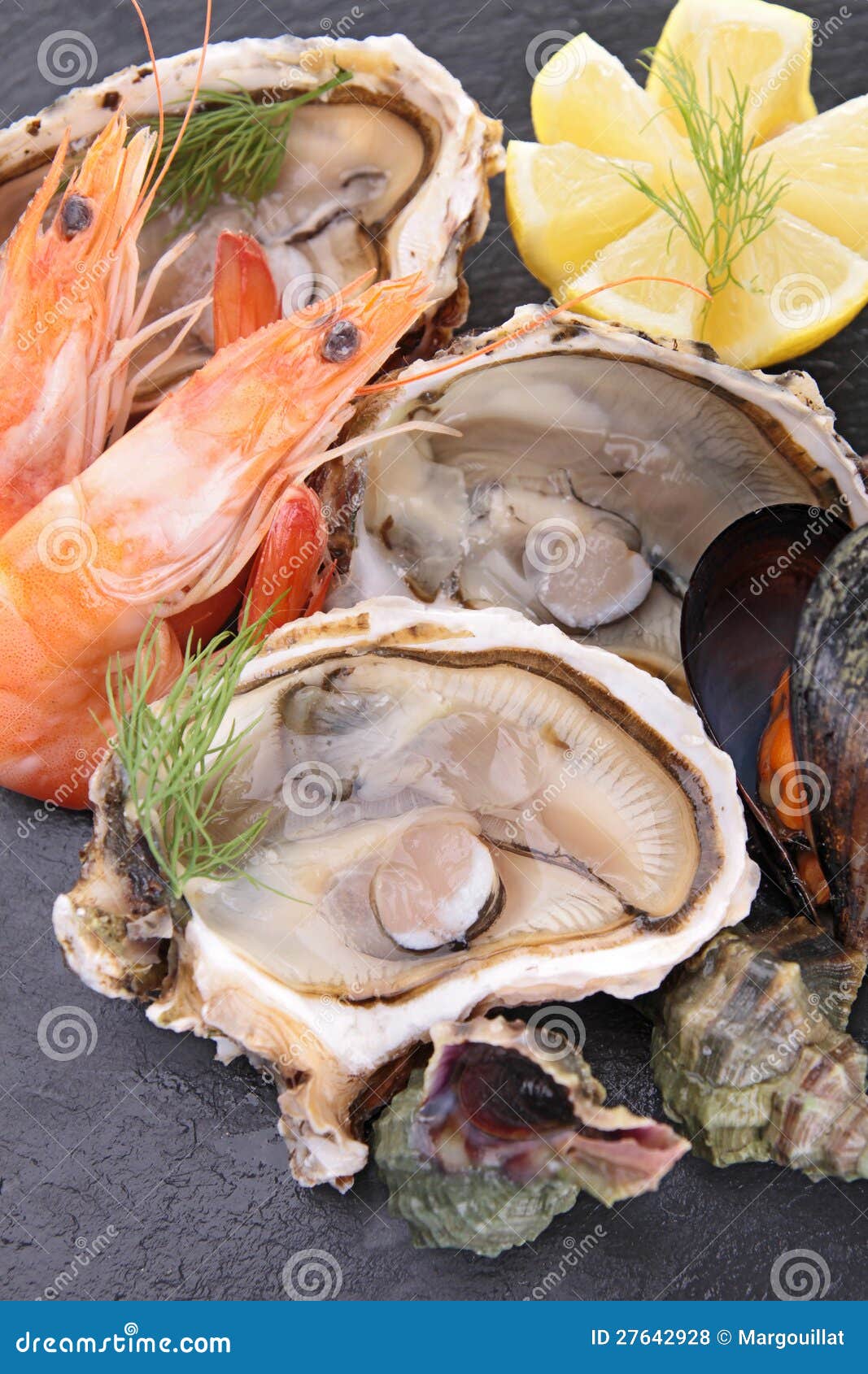 Assortment of seafood stock photo. Image of gastronomy - 27642928