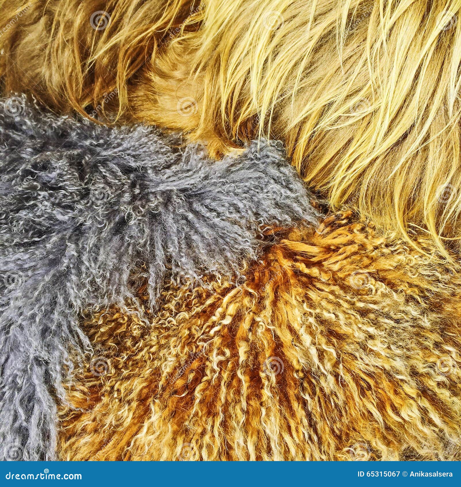 Assortment of Sheepskin of Different Colors Stock Image - Image of grey ...