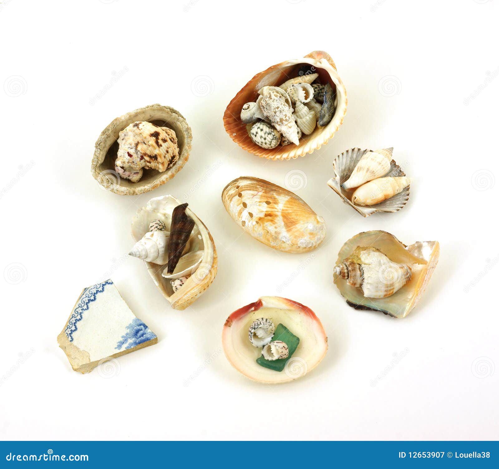 Assortment small shells stock image. Image of holding - 12653907