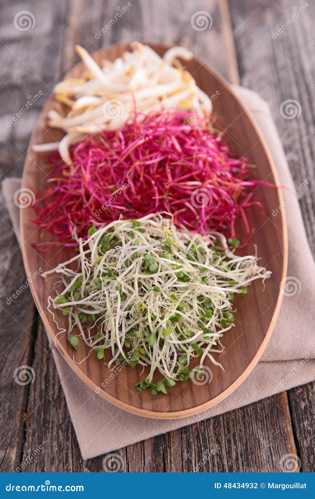 Assortment sprouts stock photo. Image of growth, diet - 48434932