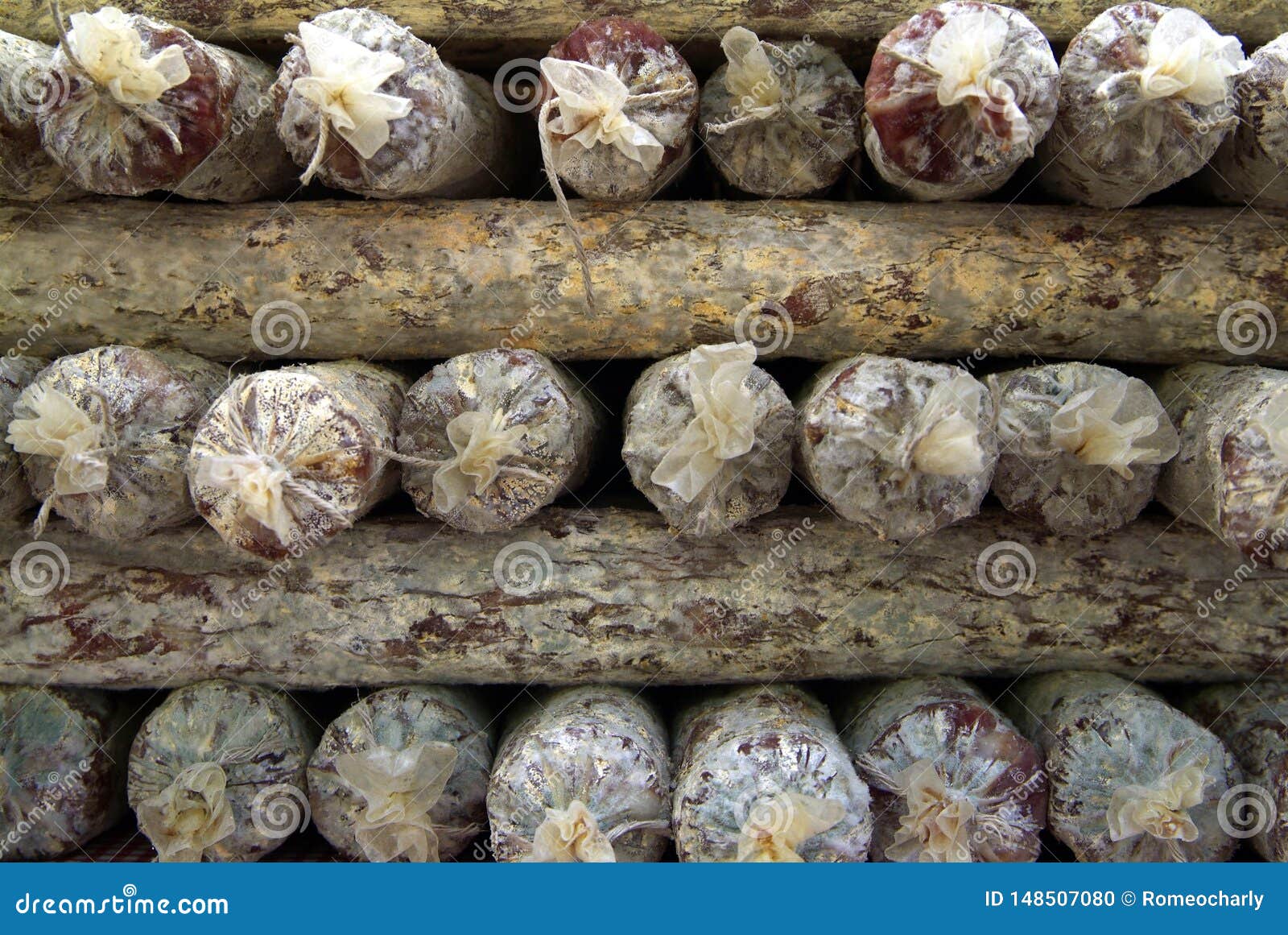 Assortment of Stacked Raw Salami Stock Photo - Image of meals, pepper ...
