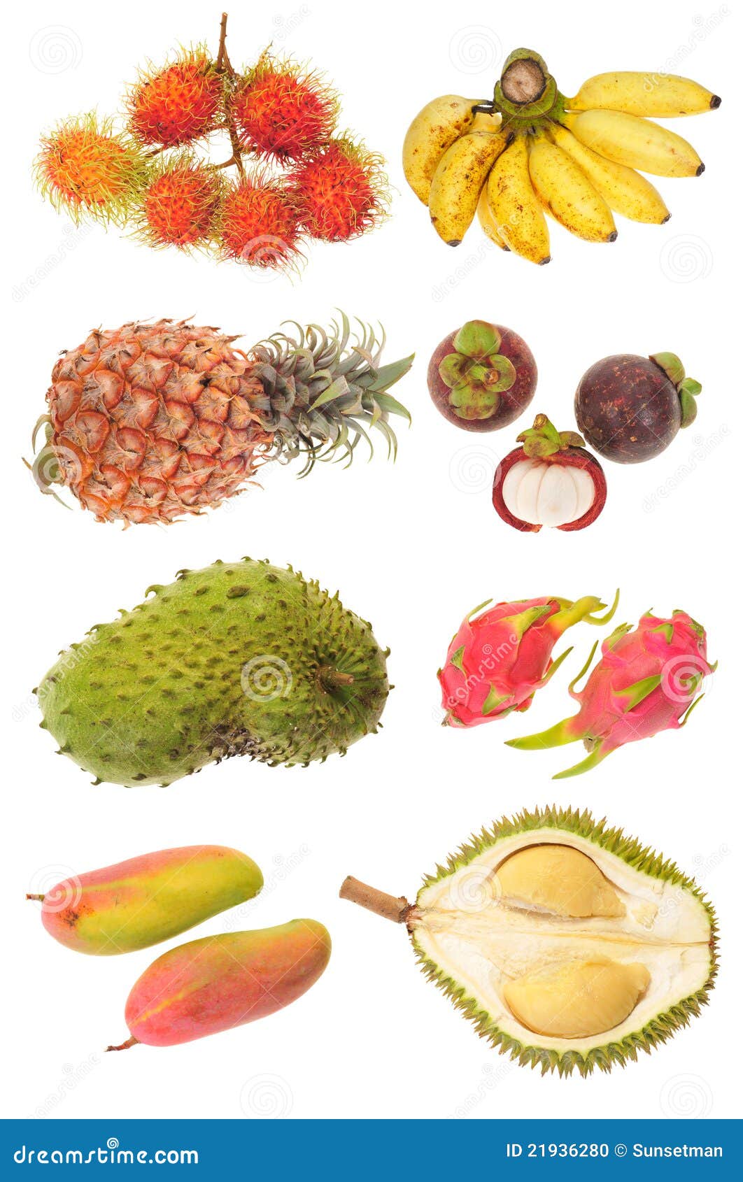 Assortment of Tropical Fruits Stock Photo - Image of durian, lifestyle ...
