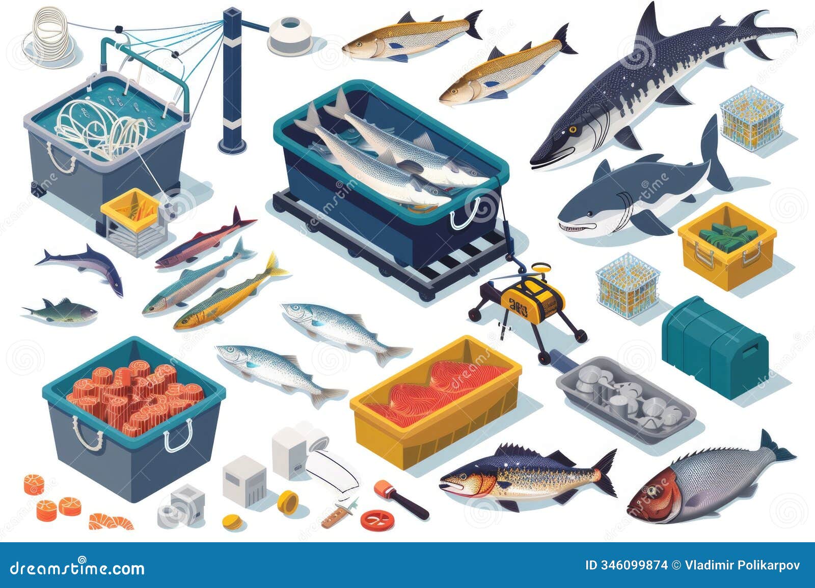 Assortment of Various Fish and Seafood Items Packed in a Box Stock ...