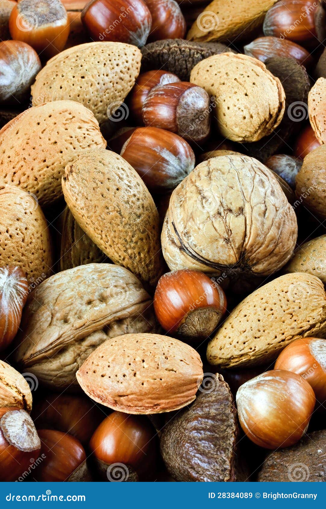 Mixed Nut background stock image. Image of heap, assorted - 28384089
