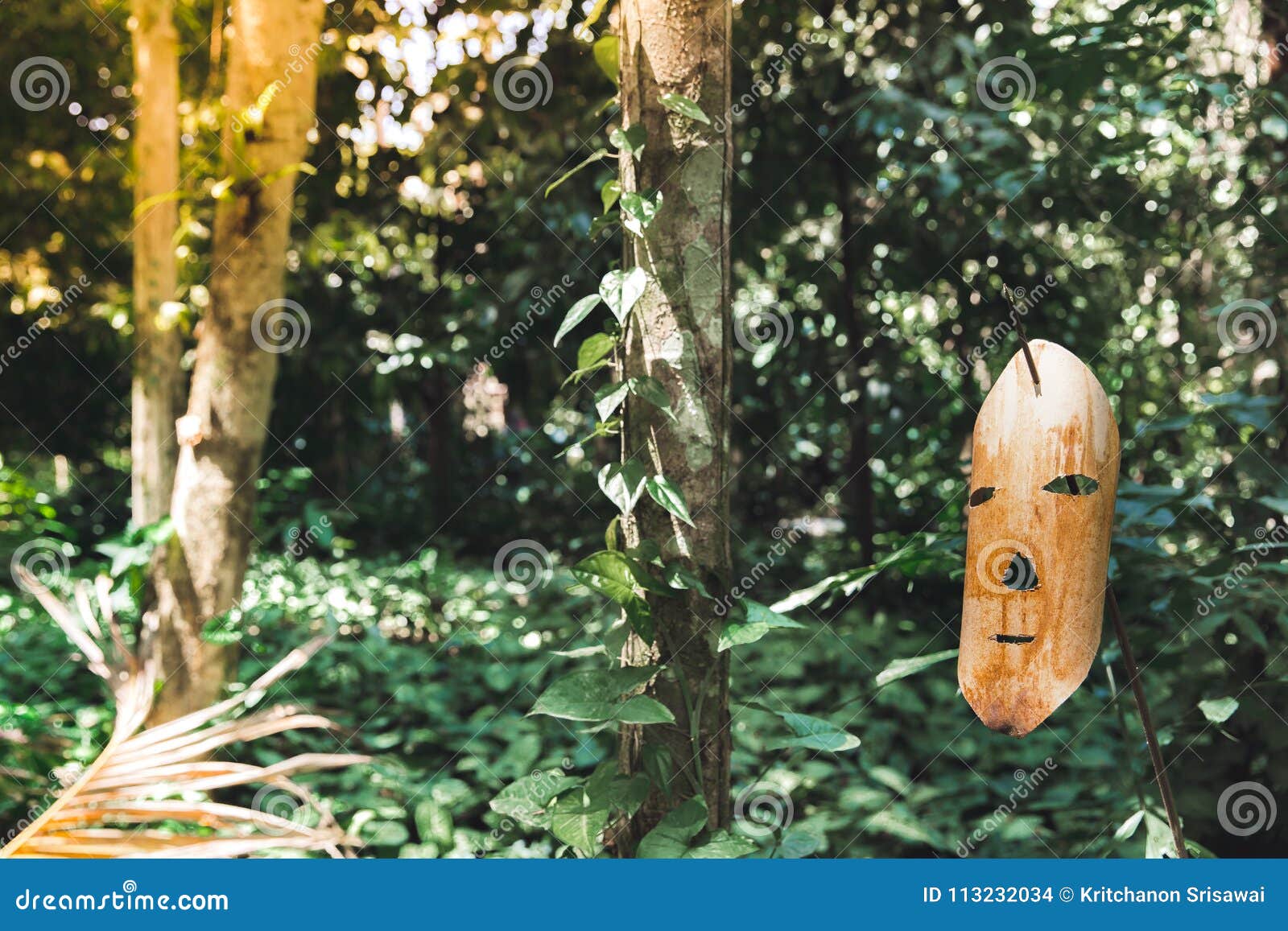 Face Mask Made from Tree Leaf. Stock Photo - Image of home, comfort ...
