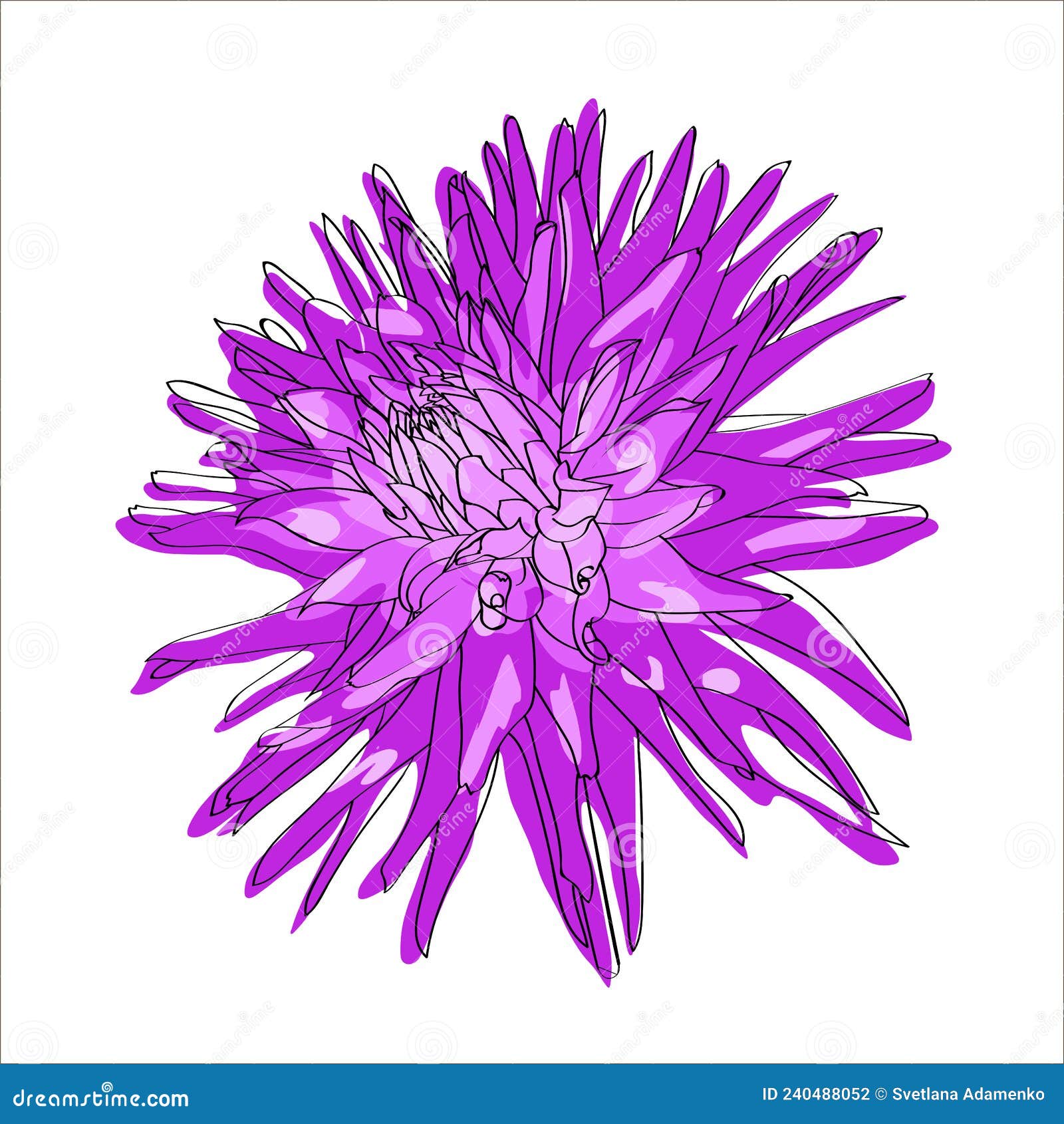 Aster flower graphic image stock vector. Illustration of decorative ...
