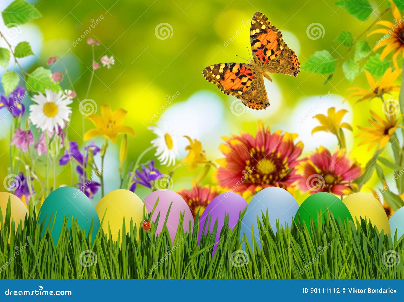 Aster Eggs in Grass, Butterfly on Sky Background and Flowers Stock ...