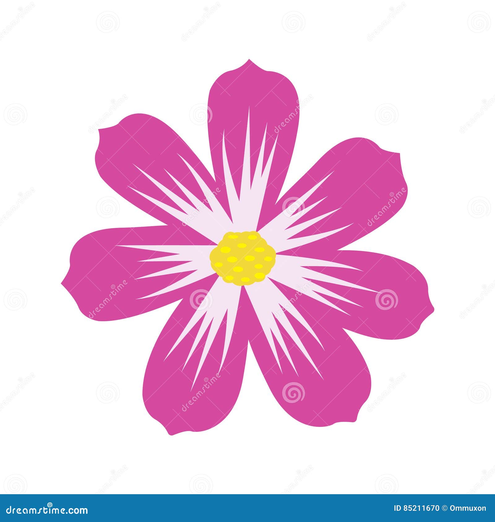 Aster Flower Icon, Illustration Stock Vector - Illustration of ...