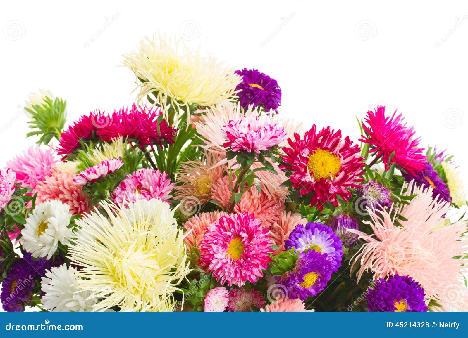 Aster flowers stock photo. Image of fall, autumn, astra - 45214328