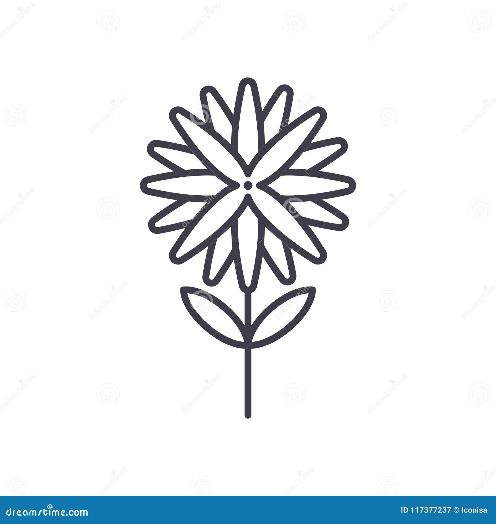 Aster Line Icon Concept. Aster Flat Vector Sign, Symbol, Illustration ...