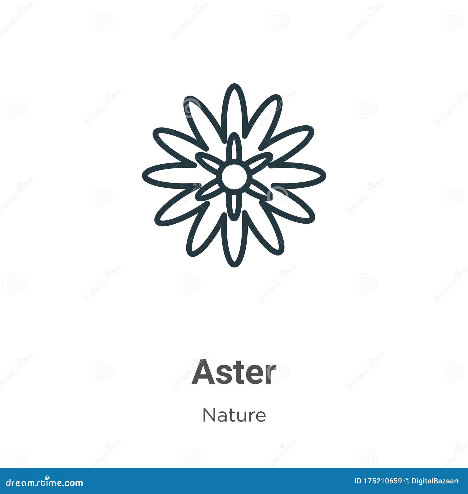 Aster Outline Vector Icon. Thin Line Black Aster Icon, Flat Vector ...
