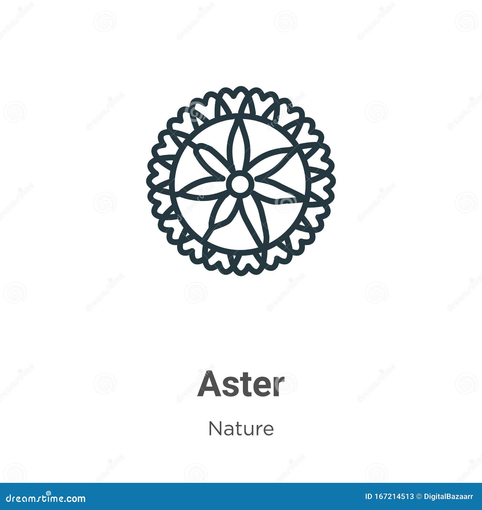 Aster Outline Vector Icon. Thin Line Black Aster Icon, Flat Vector ...