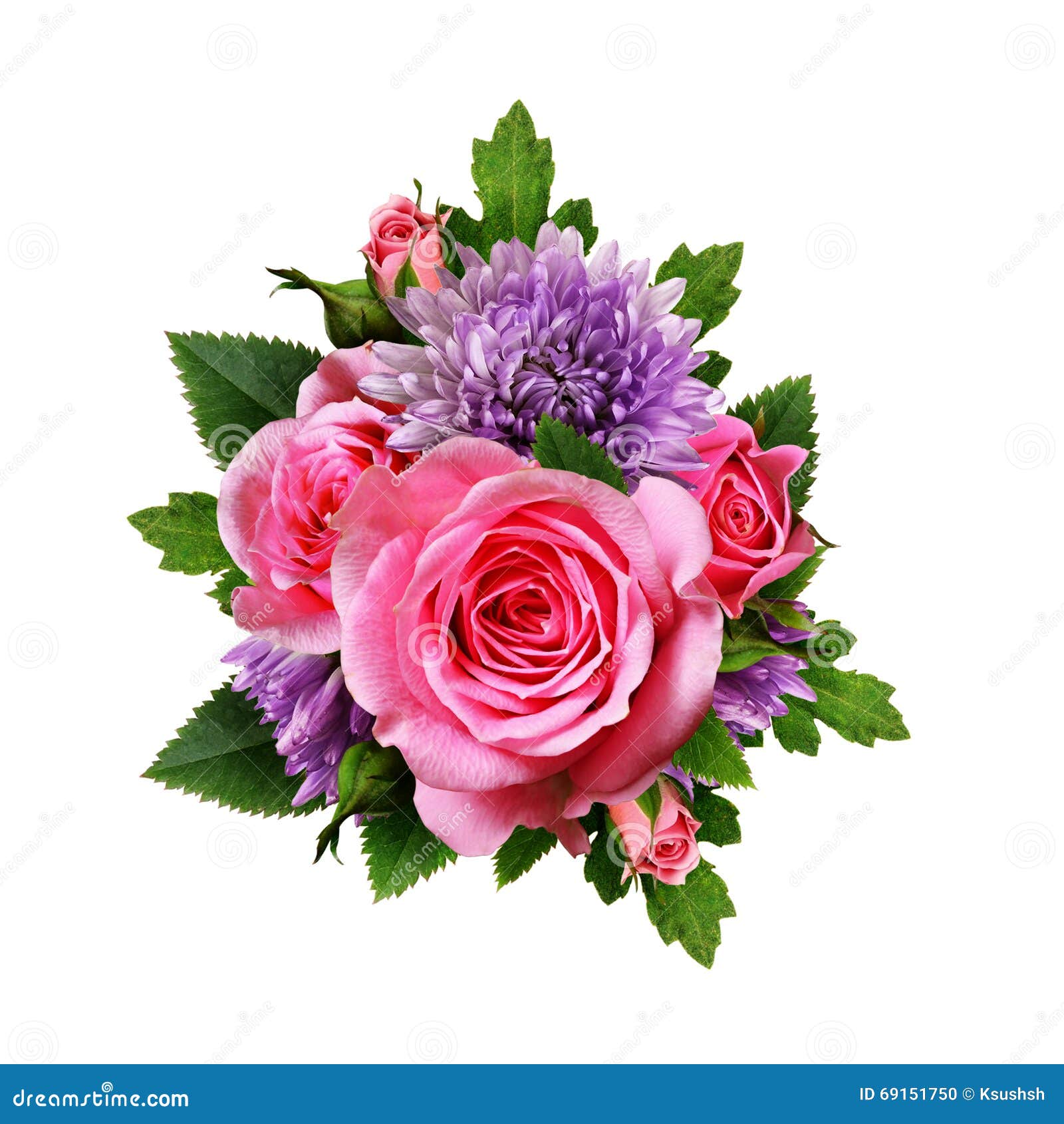 Aster and Rose Flowers Bouquet Stock Photo - Image of card, plant: 69151750