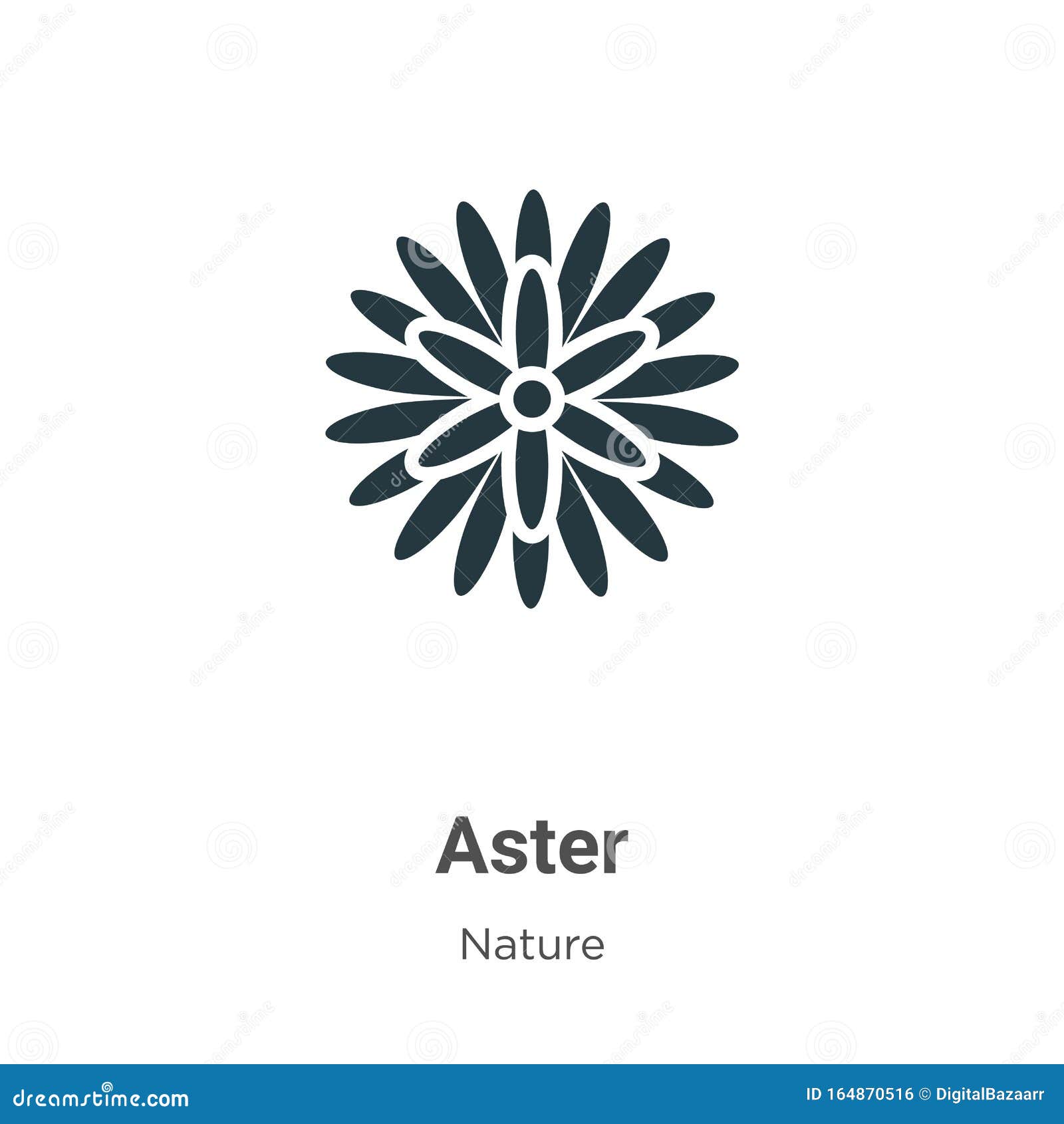 Aster Vector Art, Aster Flower Isolated, Aster Clipart, Hand Drawing ...