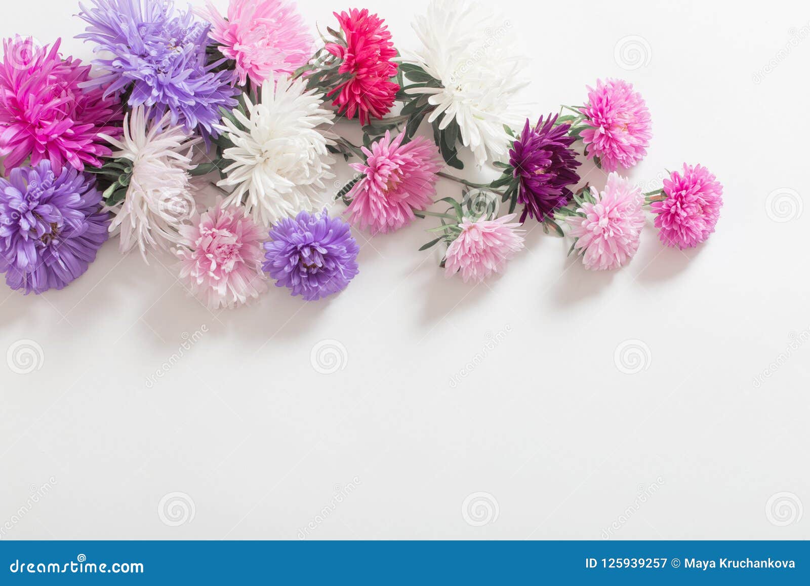 Asteres en el fondo blanco imagen de archivo. Imagen de detalle - 125939257