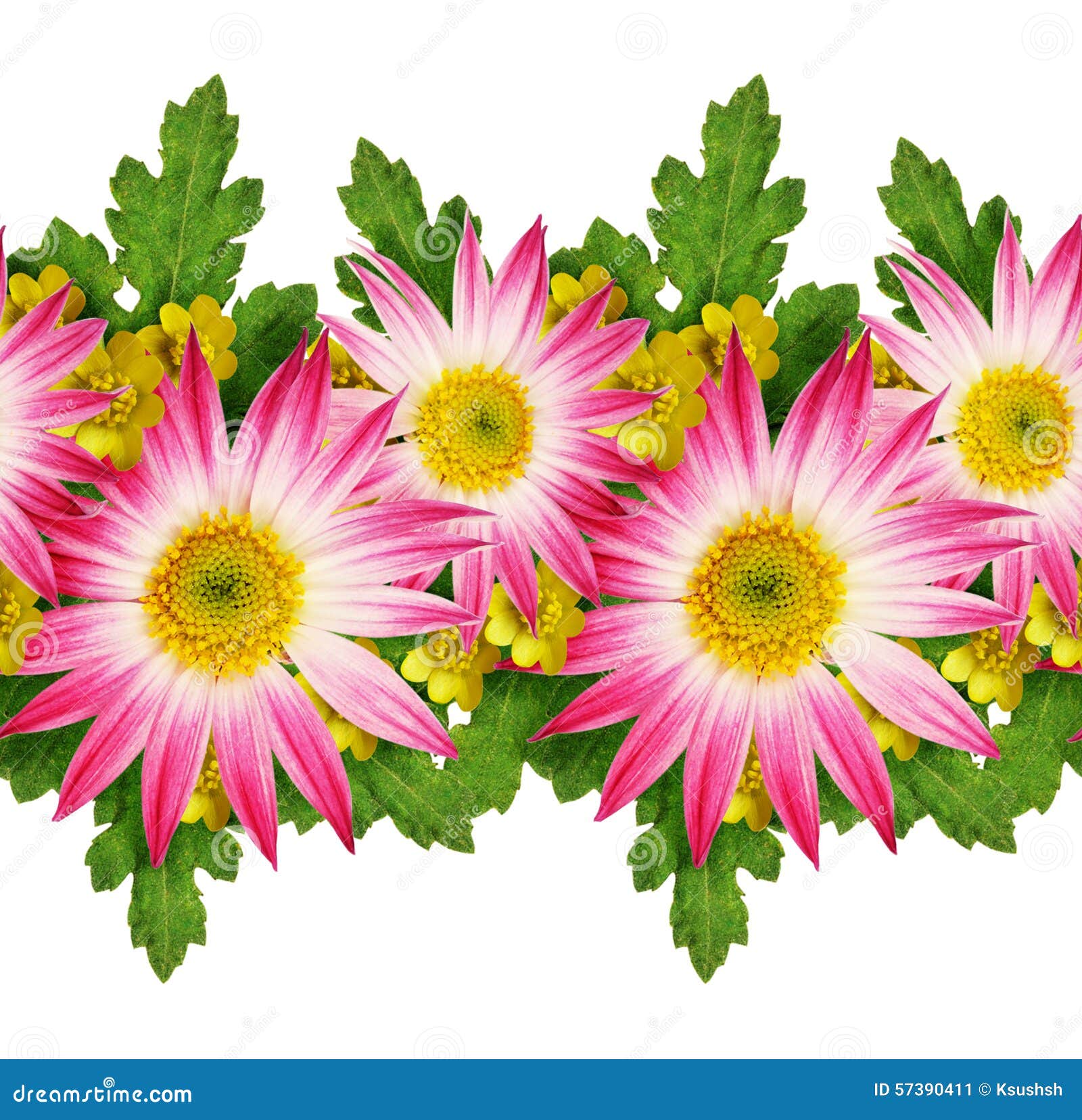 Asteres Y Modelo De Flores Salvajes Imagen de archivo - Imagen de ramo ...