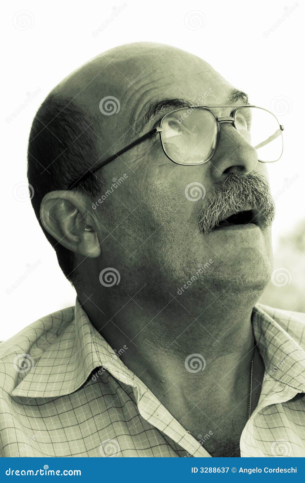 Astonished Looking High stock image. Image of flabbergasted - 3288637