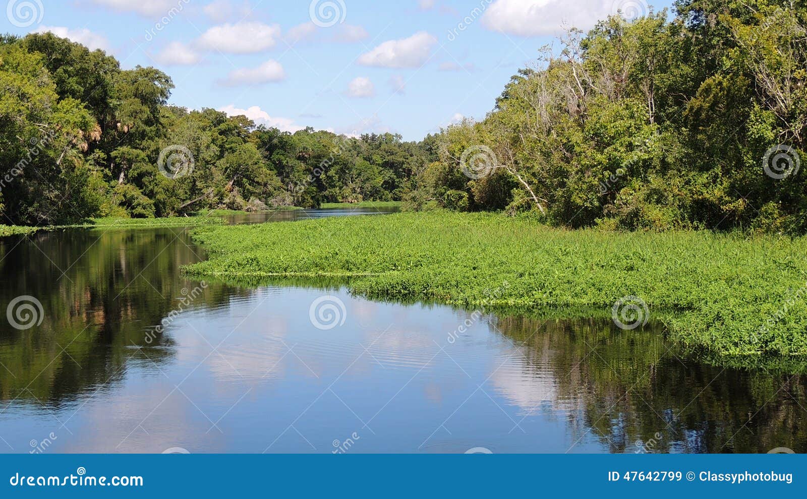 Astor Florida St. Johns River Reflections Stock Image - Image of ...
