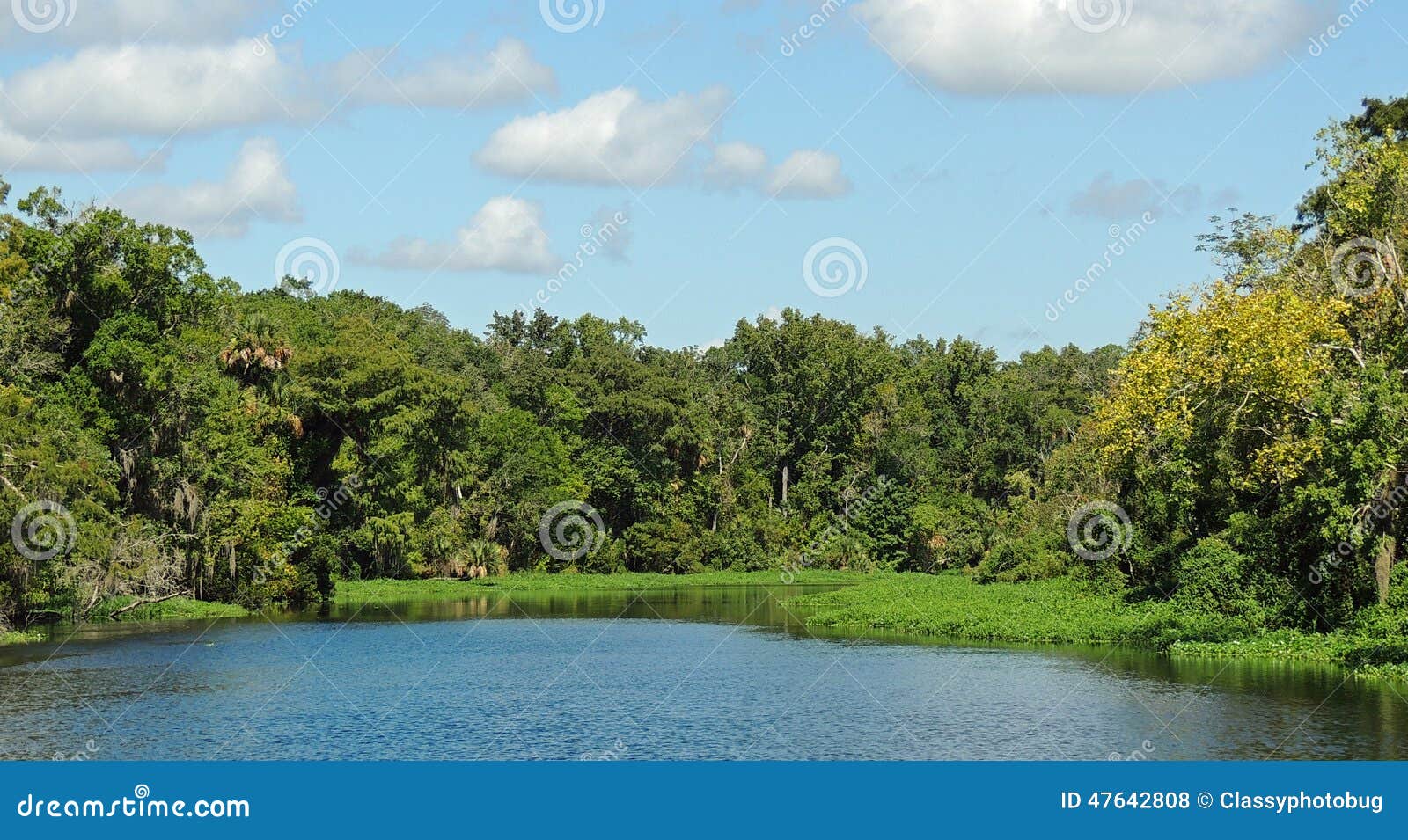 Astor Florida St. Johns River Scenery Stock Photo - Image of travel ...