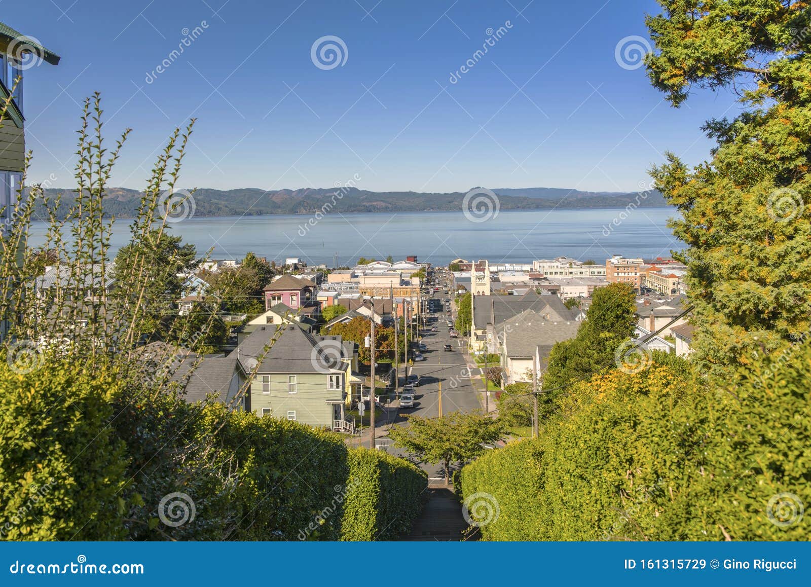 Astoria a View of the City and Bay Stock Image - Image of plants, town ...