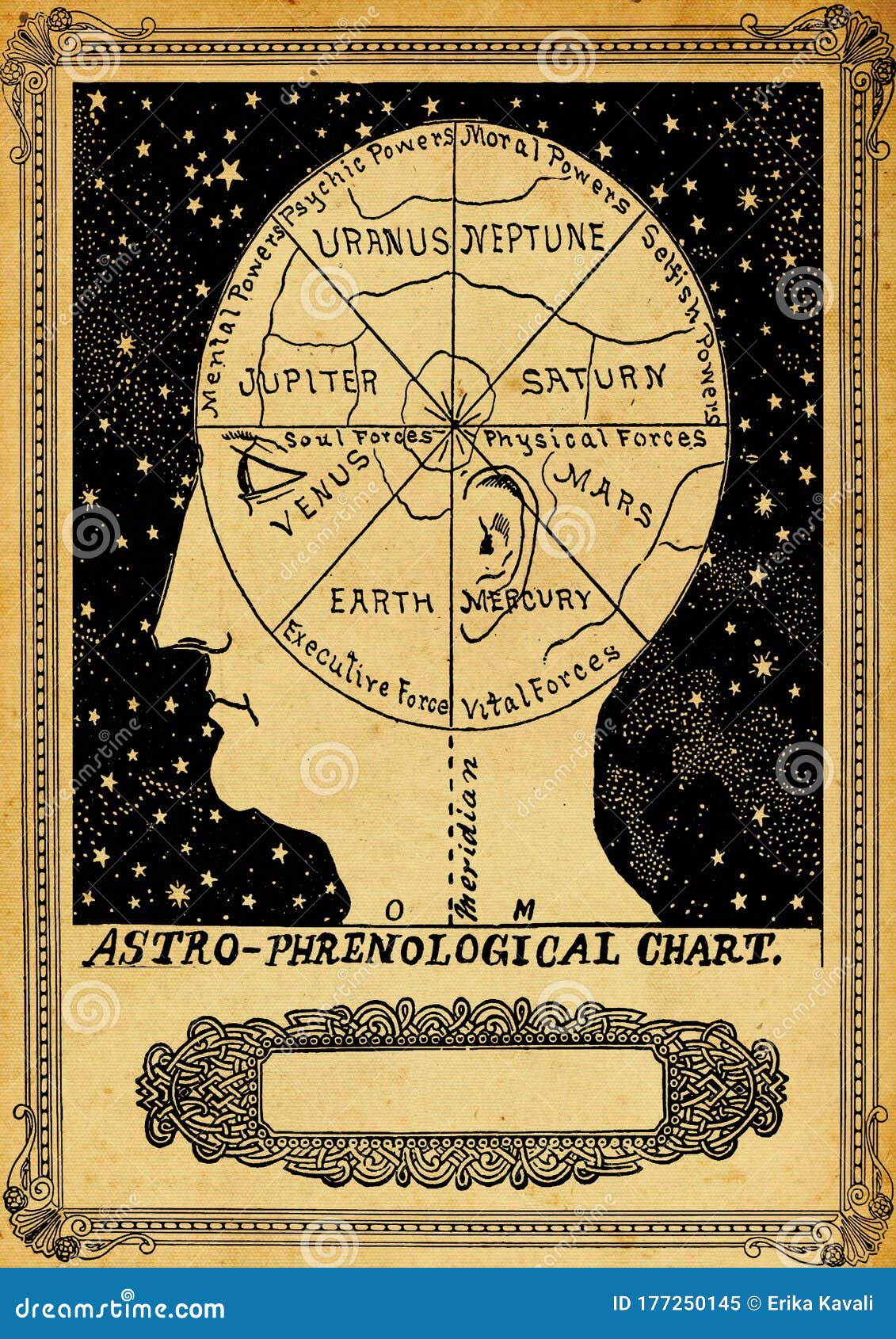 Astro phrenological chart stock illustration. Illustration of vintage ...