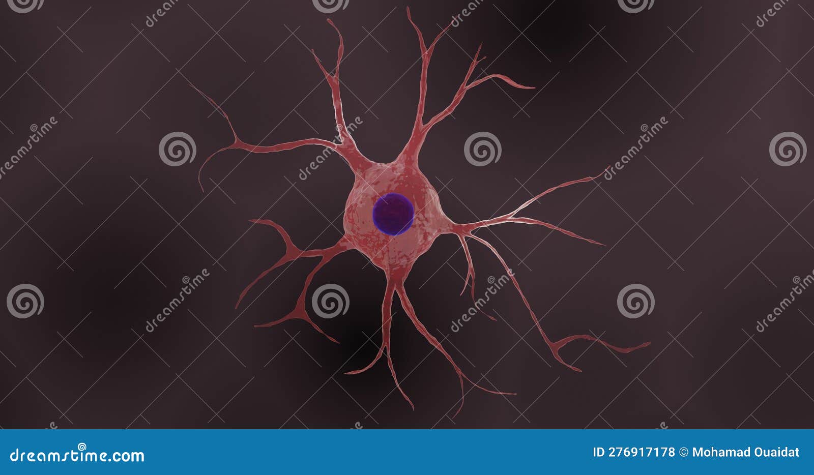 Astrocyte or Astroglia in 3D Illustration Stock Illustration ...