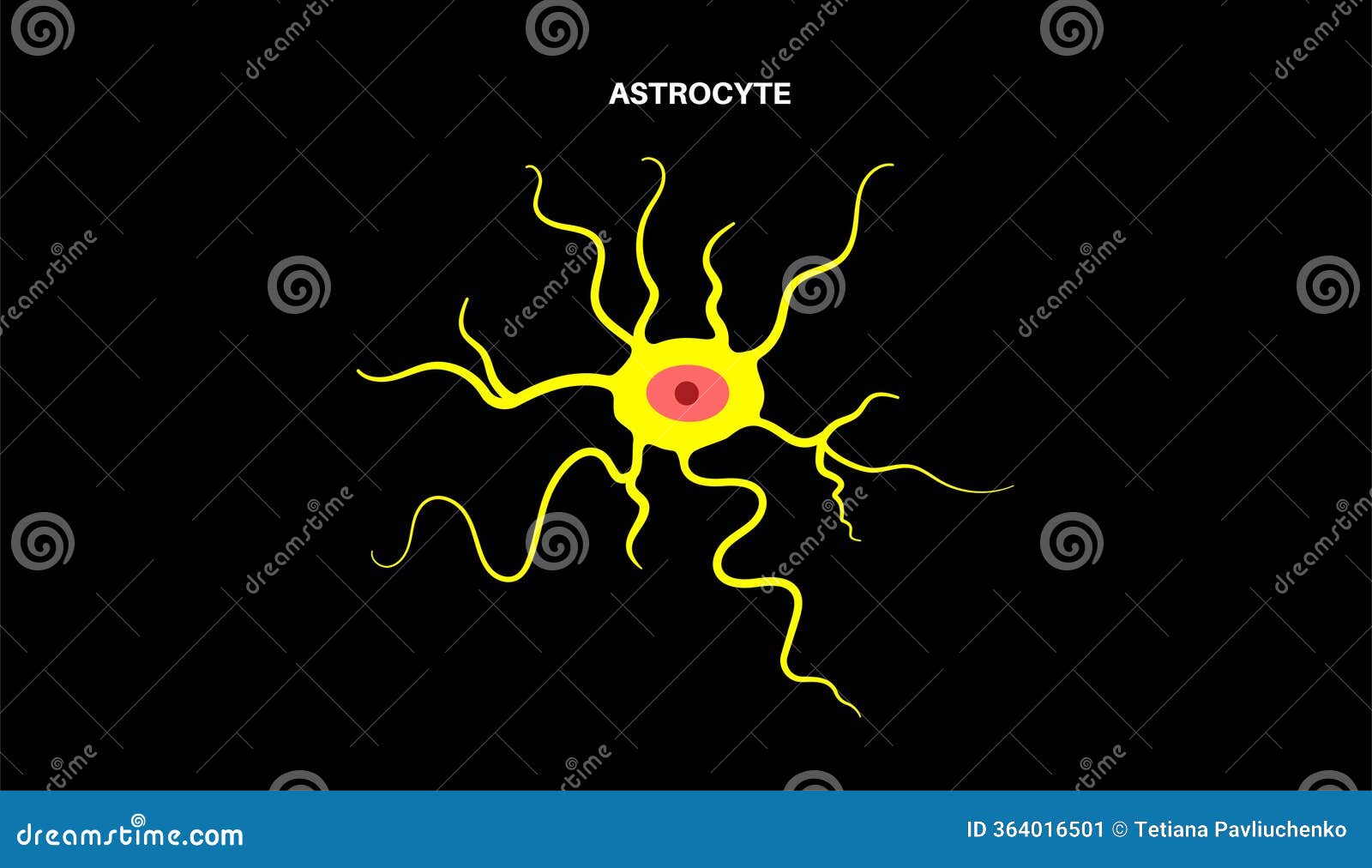Astrocyte Cartoons, Illustrations & Vector Stock Images - 223 Pictures ...