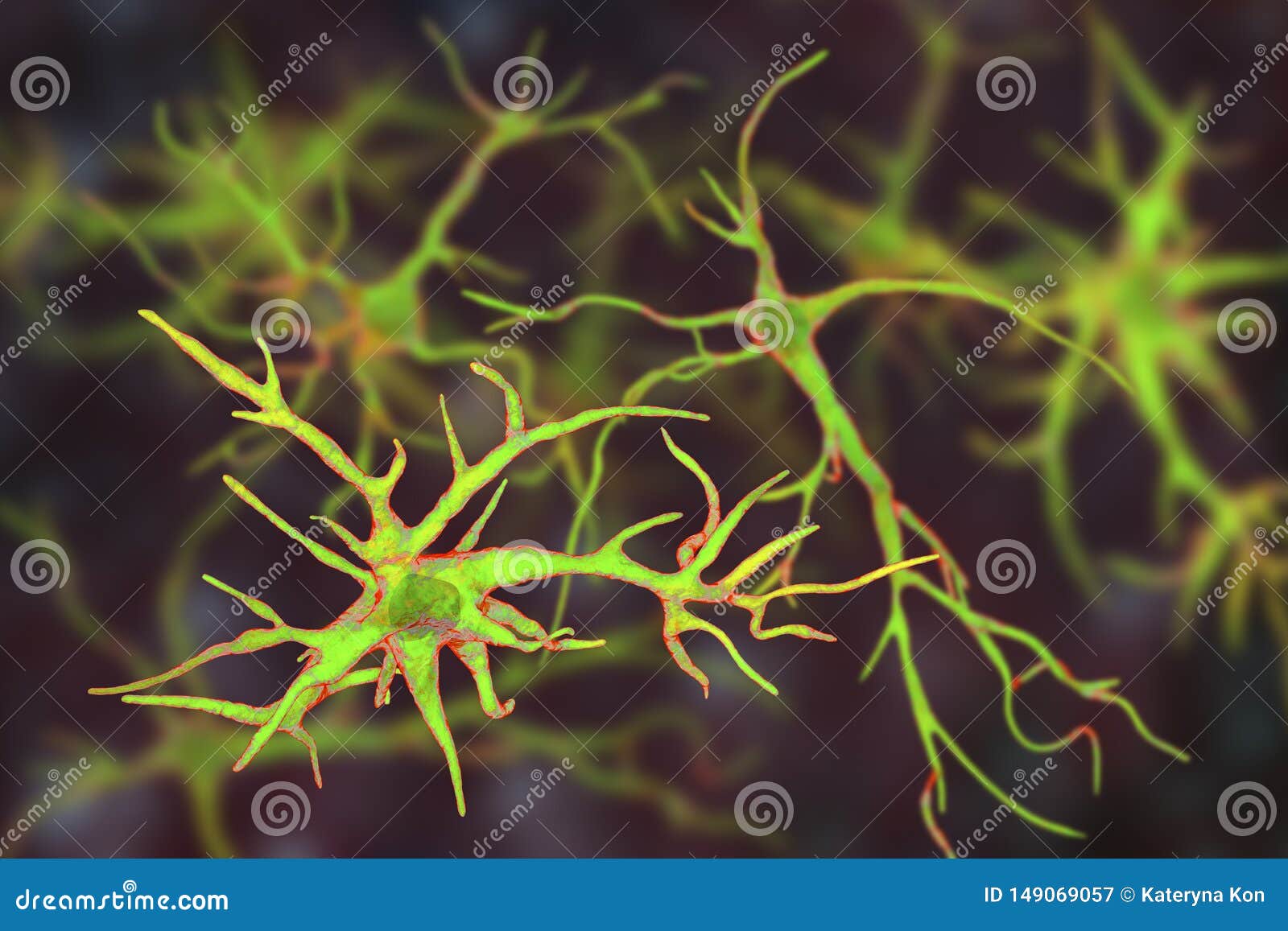 Glial Cells In The Brain Cartoon Vector | CartoonDealer.com #47546395 Glial Cells In The Brain Cartoon Vector | CartoonDealer.com #47546395