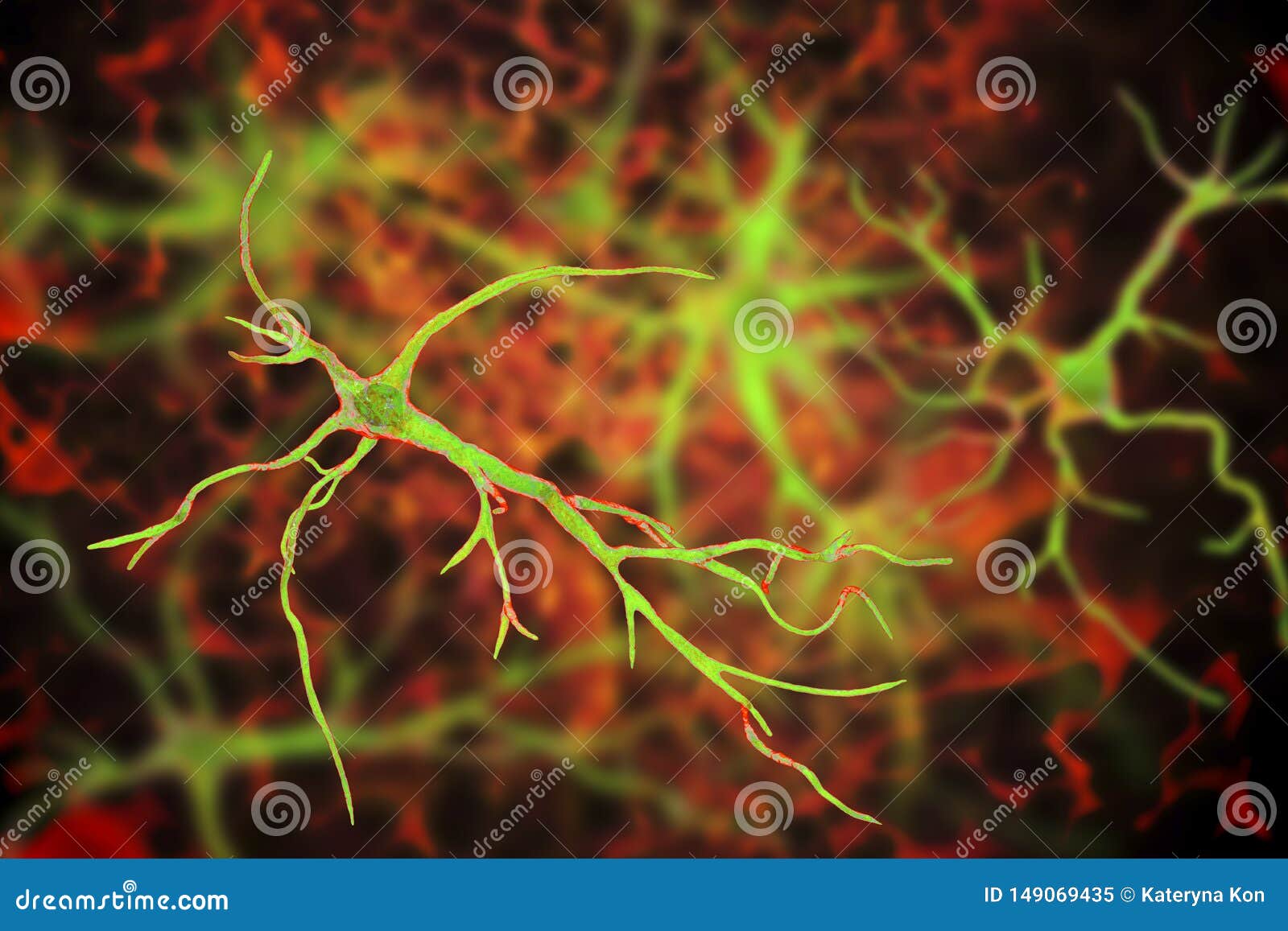 Glial Cells In The Brain Cartoon Vector | CartoonDealer.com #47546395 Glial Cells In The Brain Cartoon Vector | CartoonDealer.com #47546395
