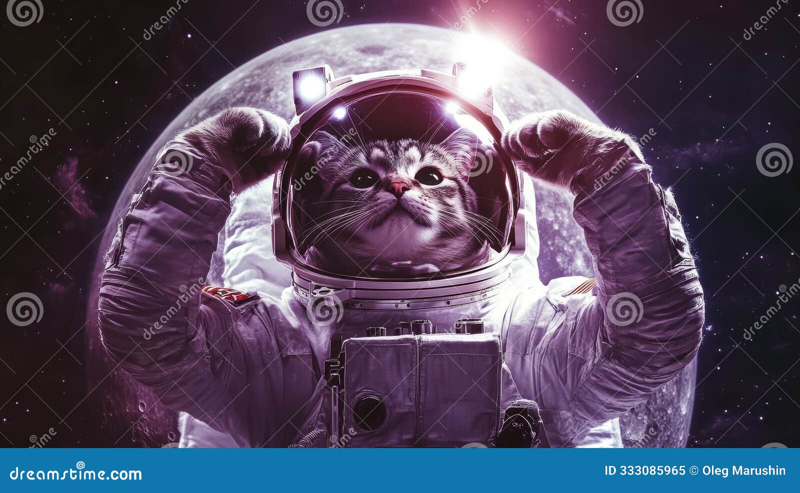 An Astronaut Cat Hovers Around the Moon with Lights on His Helmet and a ...