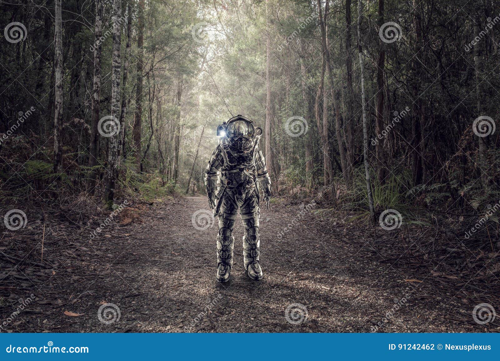 Astronaut in forest stock photo. Image of media, forest - 91242462