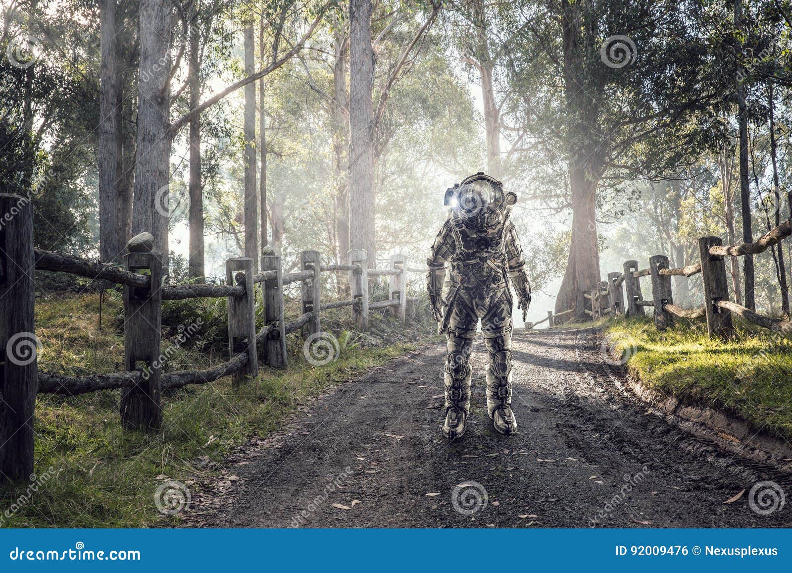 Astronaut in forest stock photo. Image of ecological - 92009476