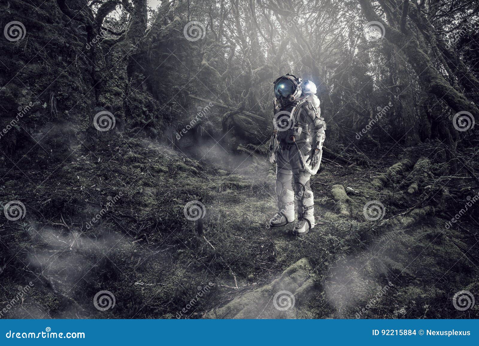 Astronaut in forest stock photo. Image of landscape, journey - 92215884