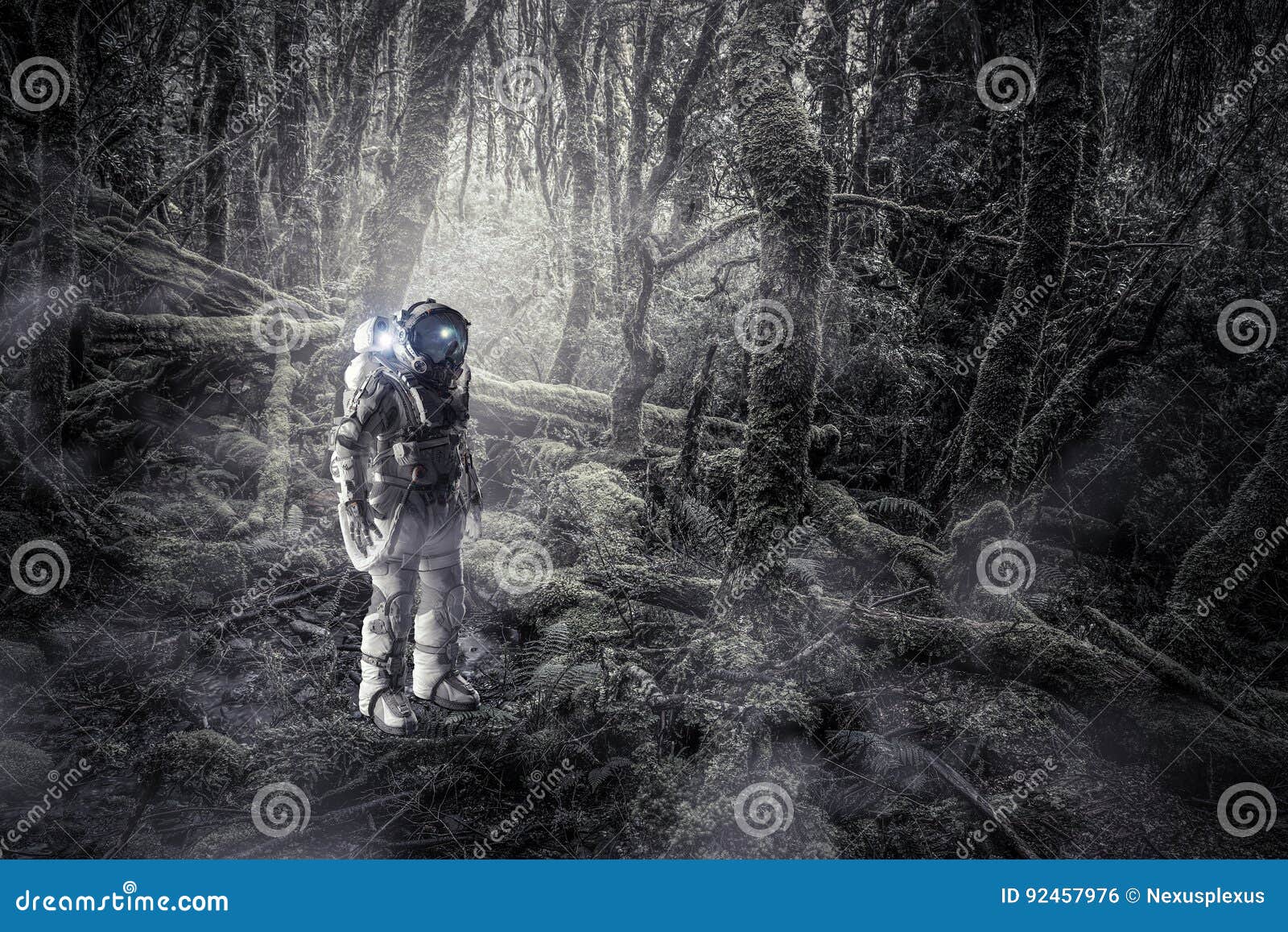 Astronaut in forest stock photo. Image of nature, ecology - 92457976