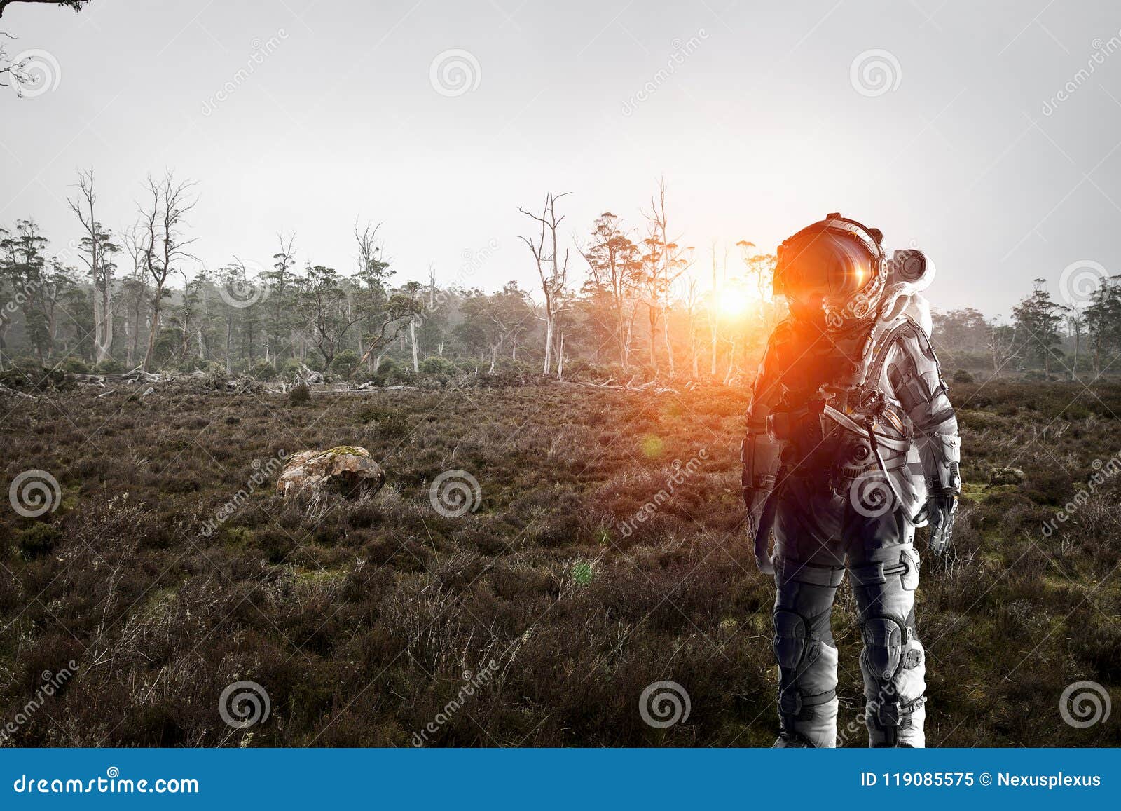 Astronaut in forest stock image. Image of landing, pilot - 119085575