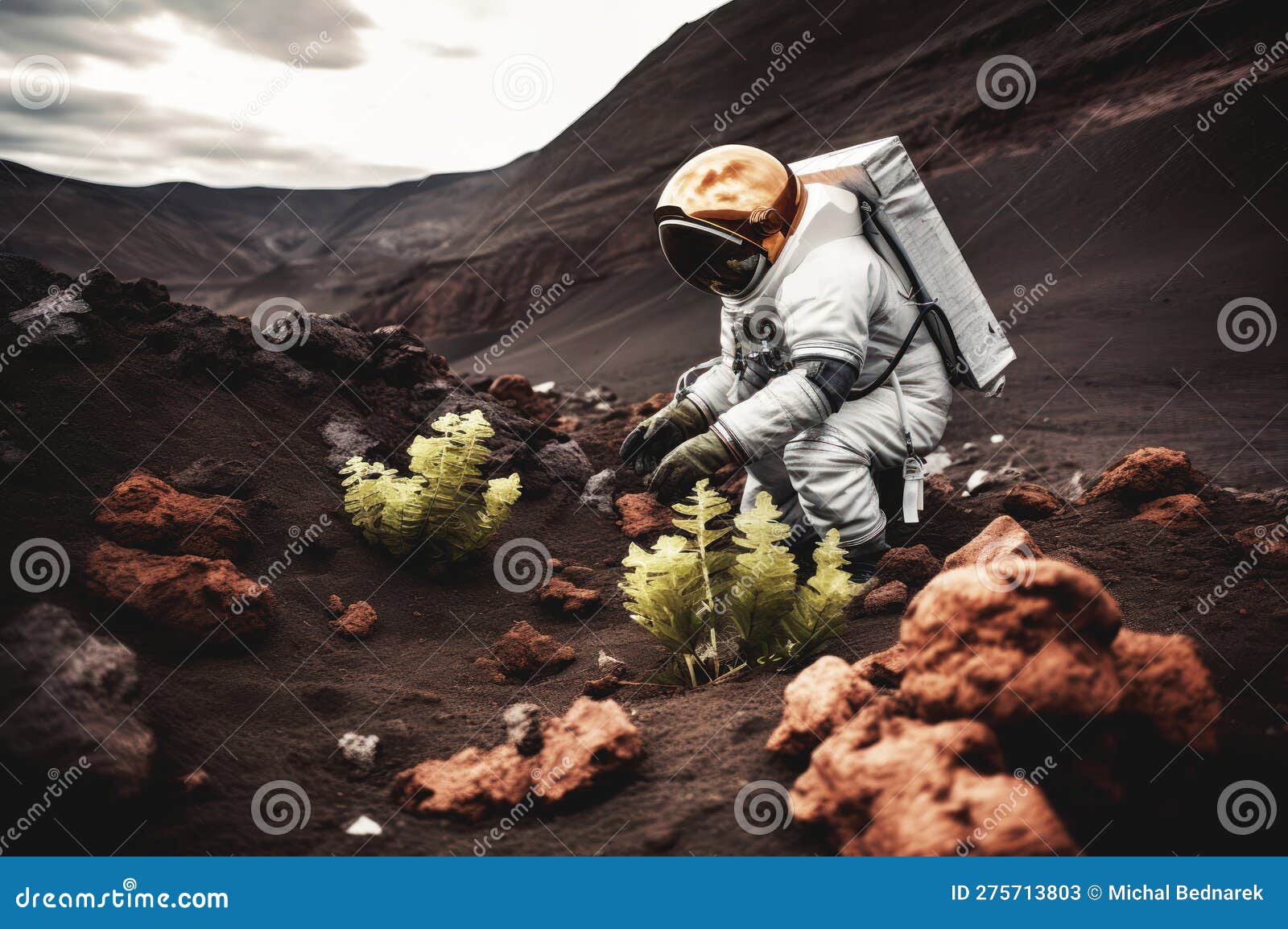Astronaut Gardening on a Foreign World. Generative AI Stock ...