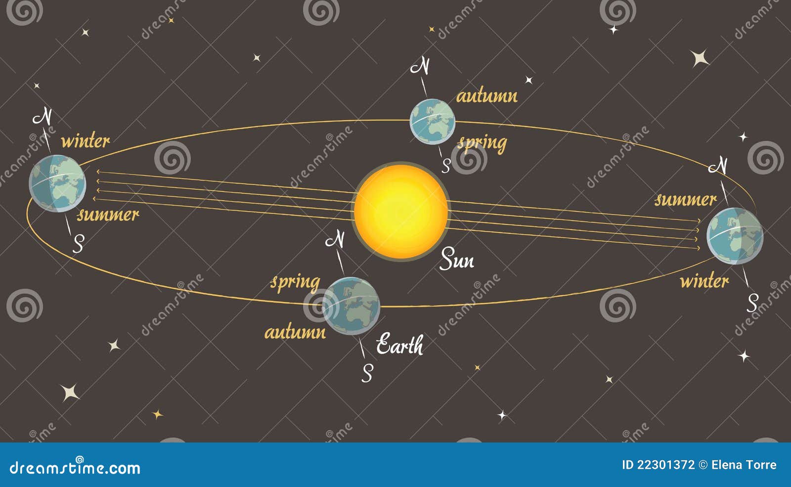 Astronomy Lesson: The Seasons On Earth Vector Stock Vector ...