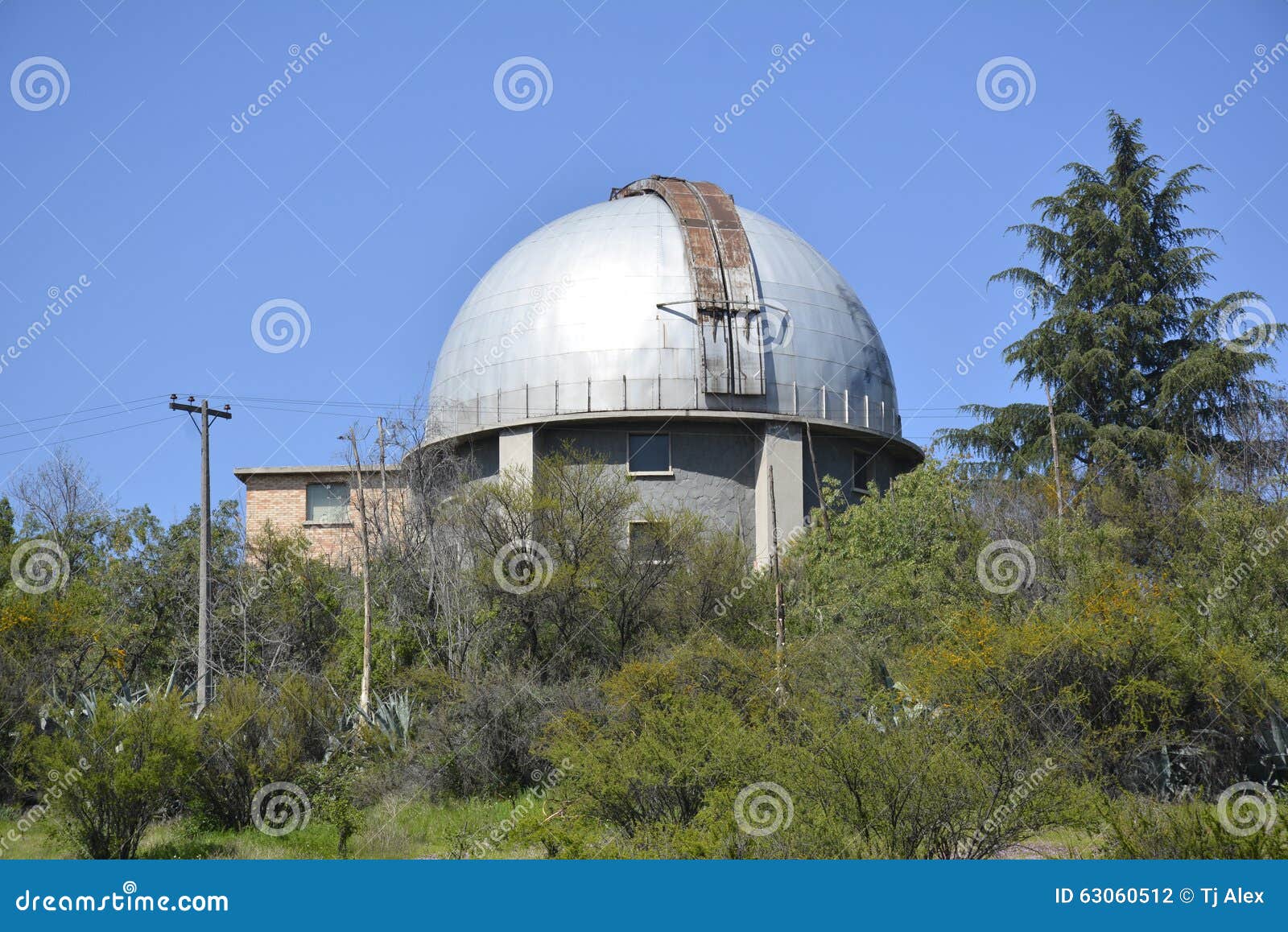 Astronomy in Santiago, Chile Stock Photo - Image of flora, garden: 63060512
