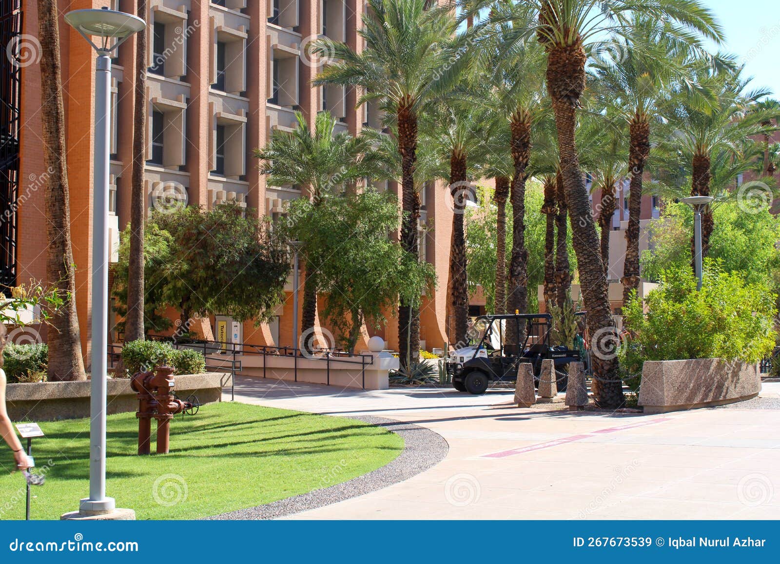 ASU Tempe campus stock image. Image of green, home, yard - 267673539