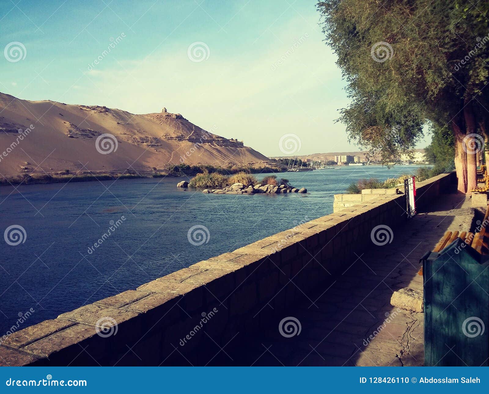 Aswan and nile river stock photo. Image of plants, aswan - 128426110