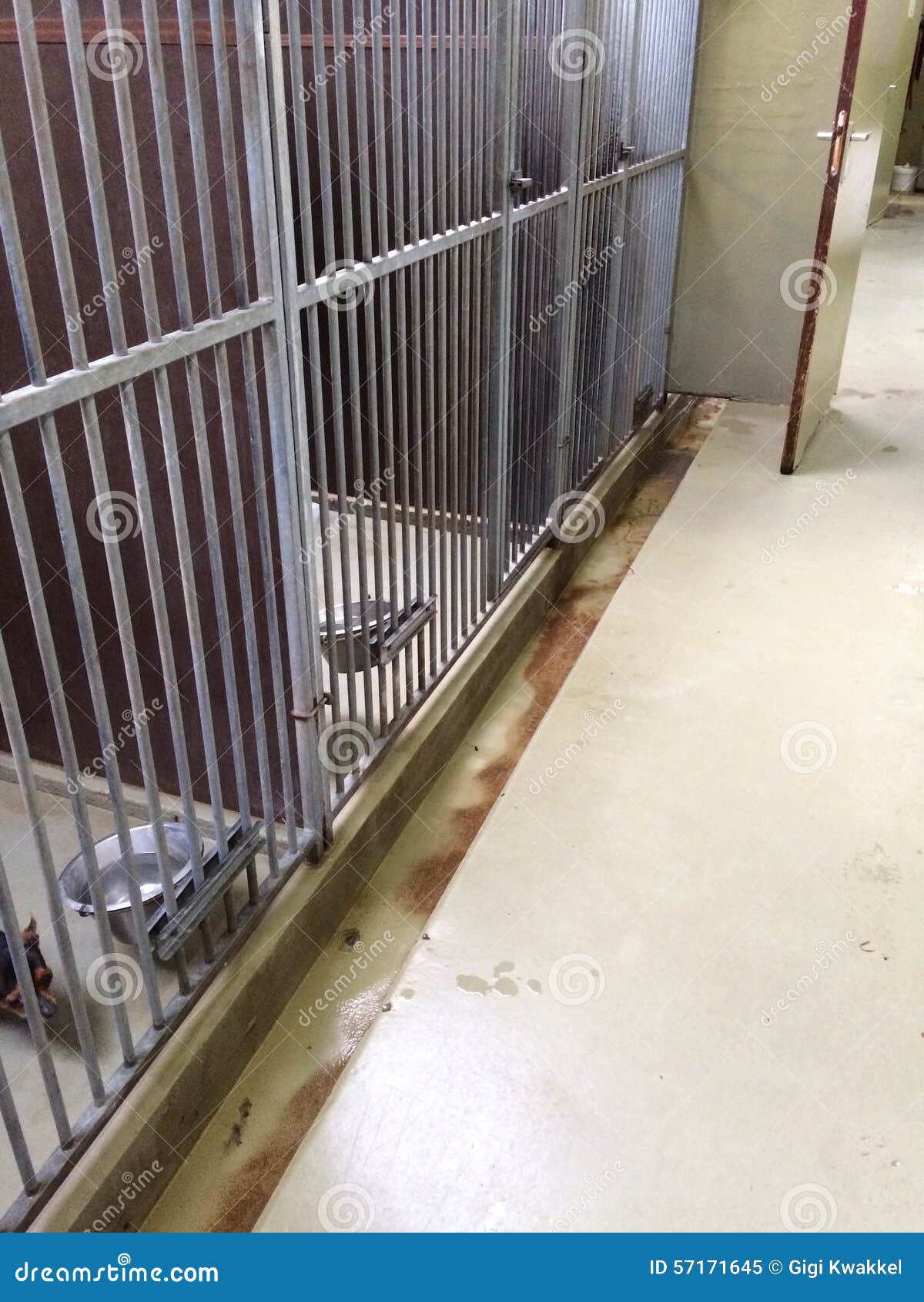 Asylum gates stock image. Image of gates, asylum, iron - 57171645