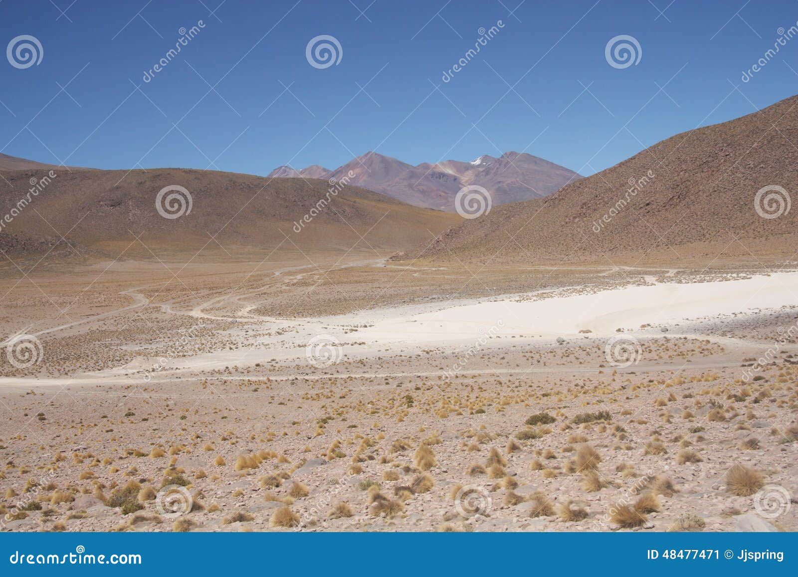 Atacama desert, Bolivia stock image. Image of eduardo - 48477471