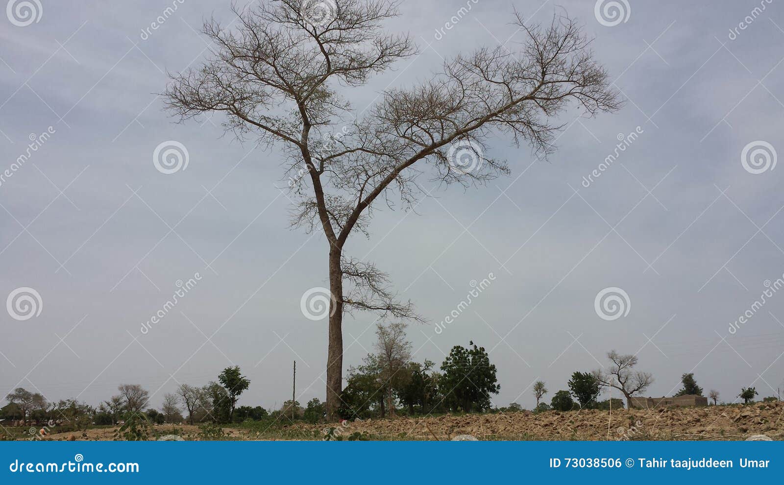 Glamorous stock photo. Image of bongo, ghana, wonderful - 73038506