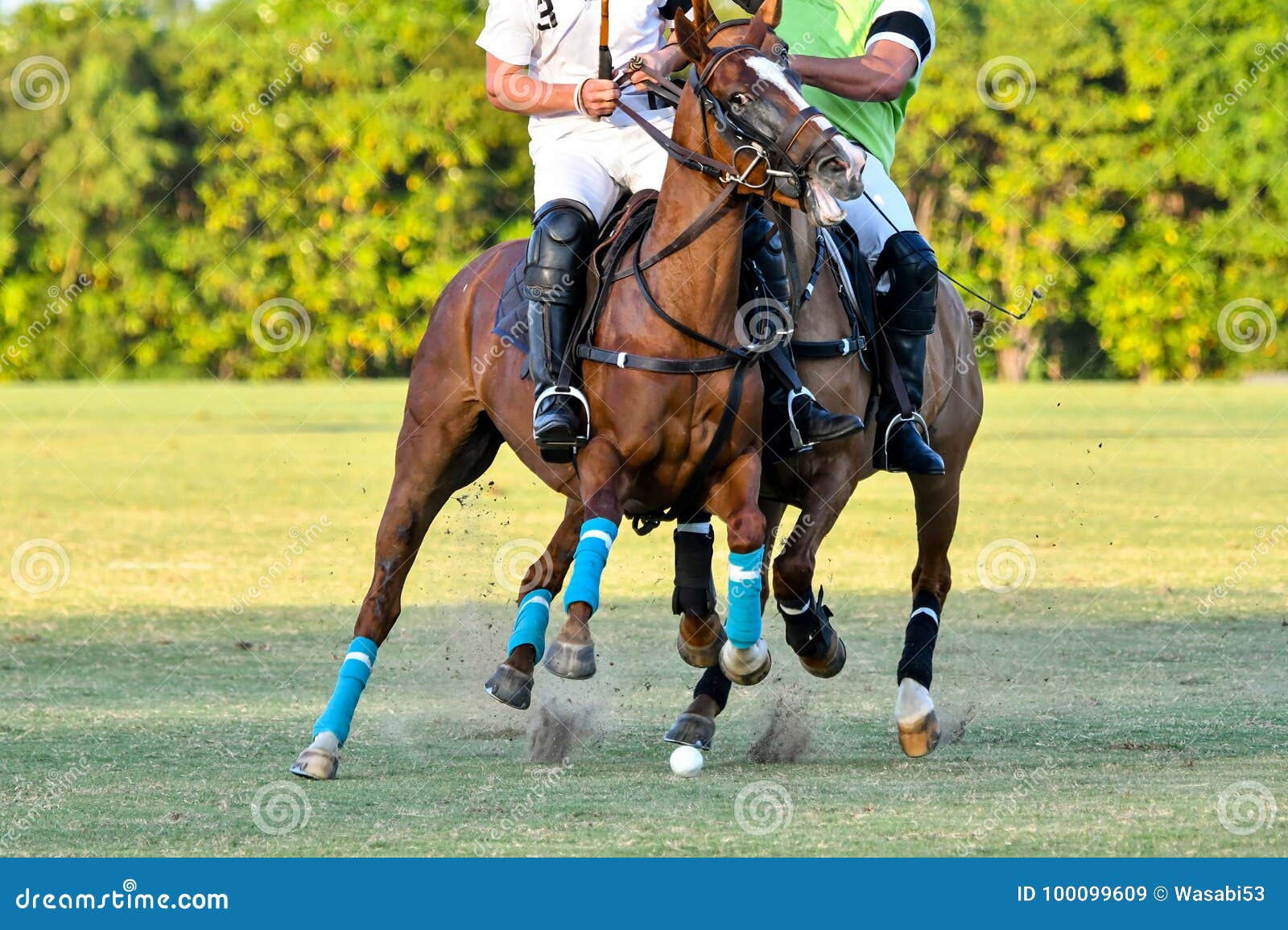 Ataque del caballo imagen de archivo. Imagen de galopante - 100099609