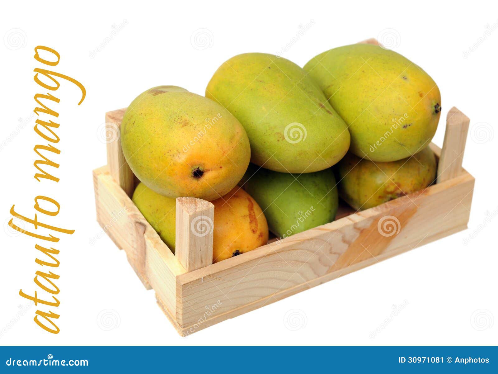 Ataulfo mango stock image. Image of mango, dessert, organic - 30971081