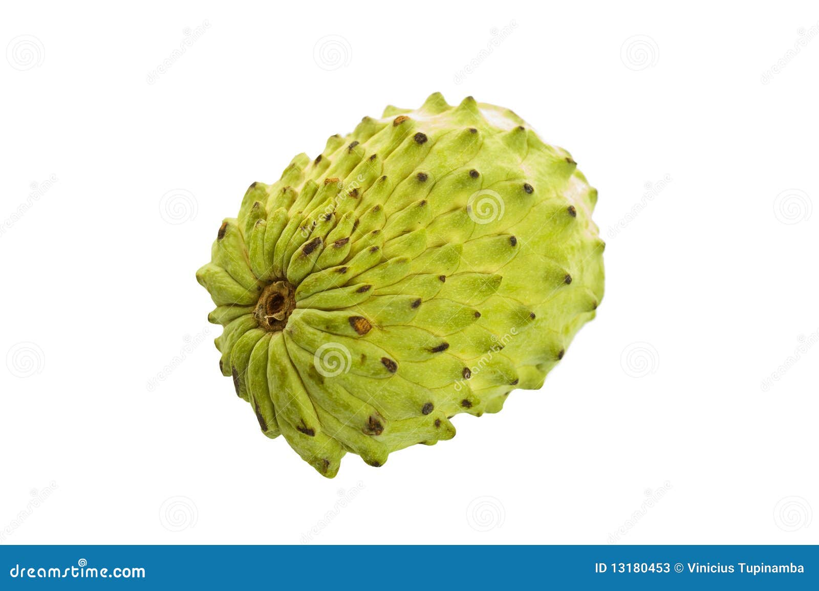 Atemoya stock image. Image of white, cherimoya, tropical - 13180453