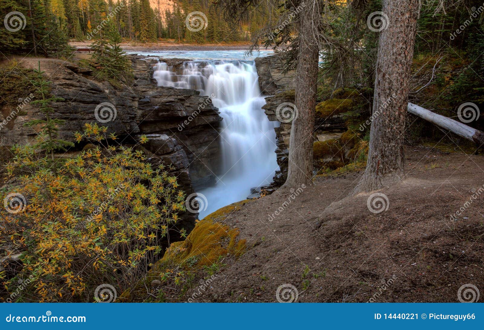 Athabasca Falls in Jasper stock image. Image of digital - 14440221