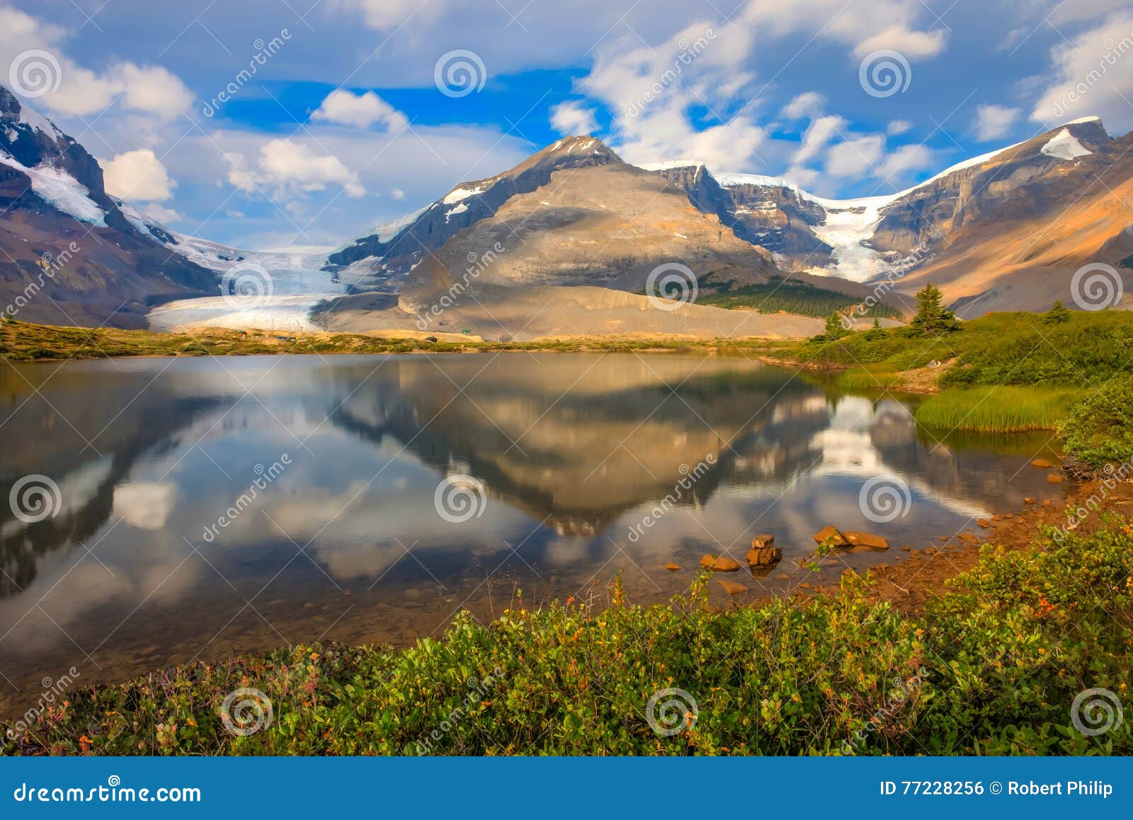 Athabasca Glacier Jasper National Park Stock Photo - Image of places ...